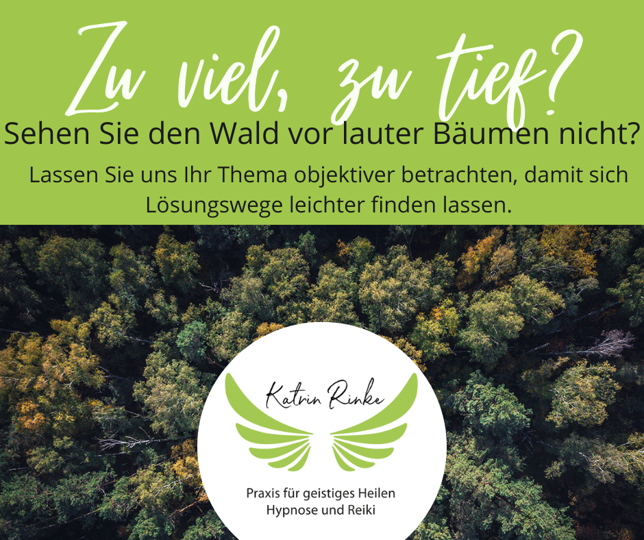 Der Wald und die Bäume | Praxis für geistiges Heilen